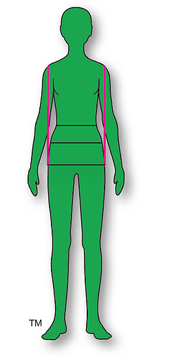 Figure Types – Pattern Making Academy