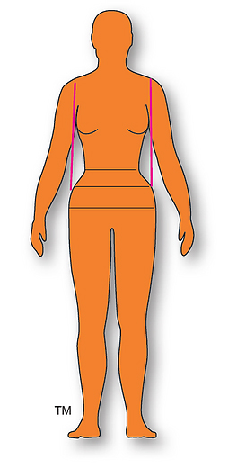 Unit 10: Master Blocks for Figure Type XH (Combination): Bodice, Sleeve ...